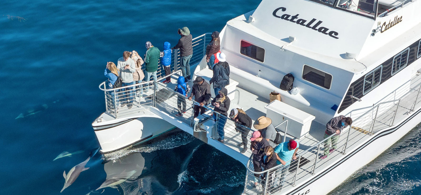 Catalina Flyer – Go Newport & Catalina